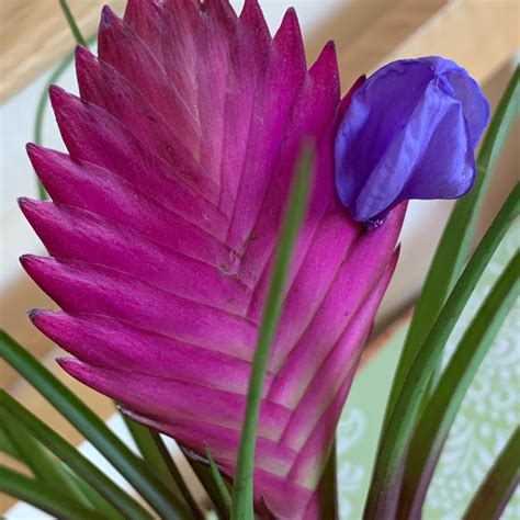 The Curved Path Youtube The Curved Path Youtube