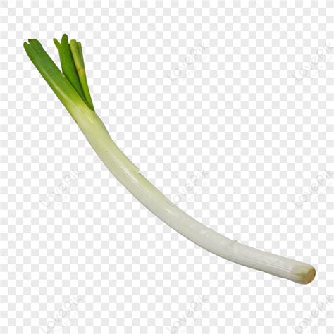 맛있는 신선한 파하나대파야채 Png 일러스트 무료 다운로드 Lovepik