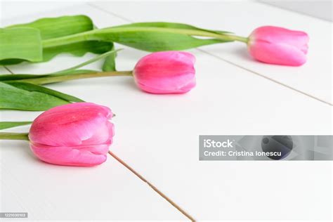 흰색 으로 칠해진 나무 테이블에 세 개의 작은 생생한 분홍색 튤립 꽃과 녹색 잎의 측면보기 작은 초점으로 촬영 아름다운 실내 꽃