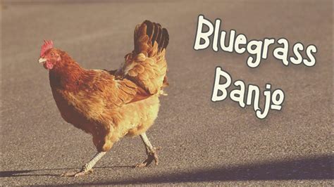 Chicken Chase Youtube