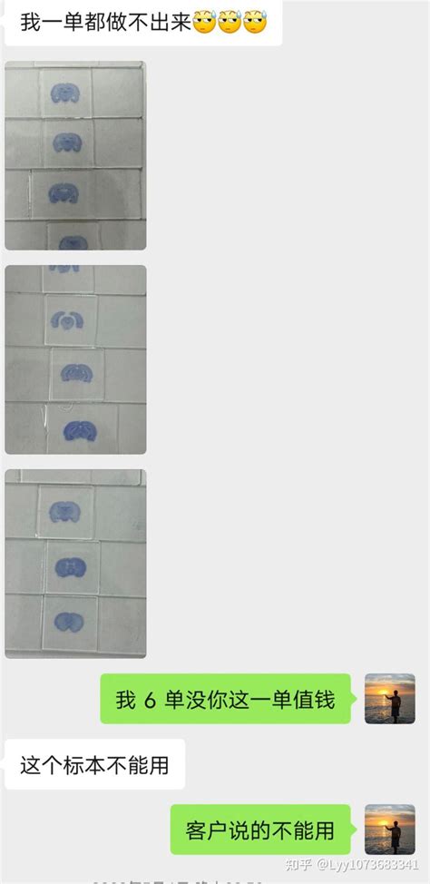 石蜡切片 知乎