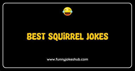 150 Best Possum Jokes That Will Make You Laugh Out Loud Funny Jokes Hub