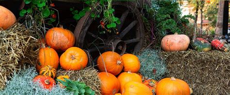 The Only Mediator We Need