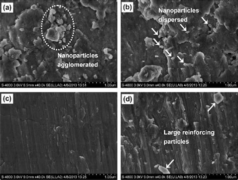 Fe Sem Images Showing Characteristic Morphologies Of Worn Surfaces Of