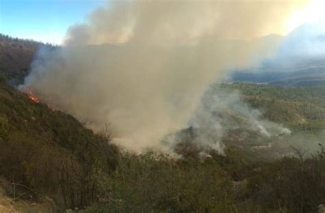 Incendios forestales Se baja Alerta Amarilla en la región del Maule