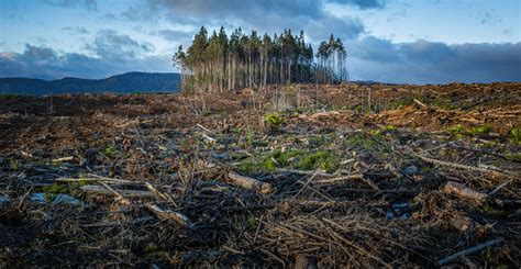 Decoding The Interlinkages Between Climate Change Global Warming And