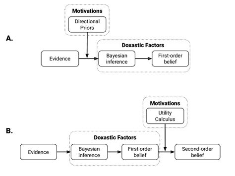 flowchart showing two ways motivations can shape belief reporting