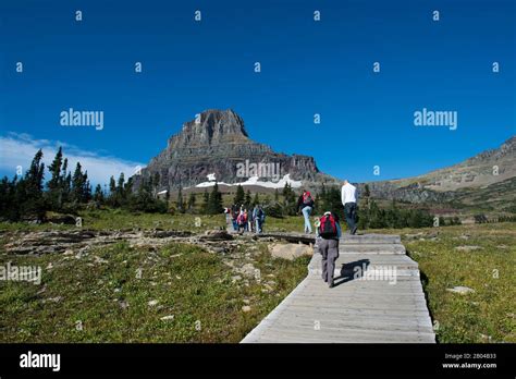 People Hiking On Boardwalk Towards Hidden Hake At Logan Pass In Glacier