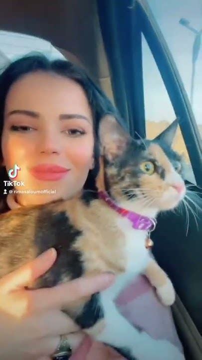 In Love With My Cats ️rimasaloum ريماسلوم Cats Youtube