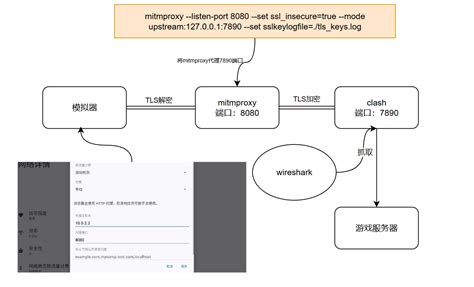 tls流量解密，mitmproxy抓包模拟器流量走clash代理证书问题 kagami研究所