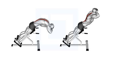 45 Degrees Back Extension Guide Benefits And Form