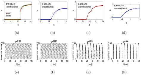 Synchronization Diagram For The Correlated Scale Free Network A Download Scientific Diagram