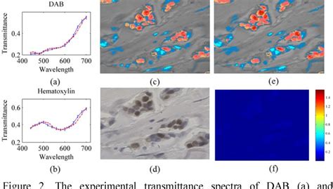 Figure 2 From A Real Time Spectral Mapper As An Emerging Diagnostic Figure 2 From A Real Time Spectral Mapper As An Emerging Diagnostic