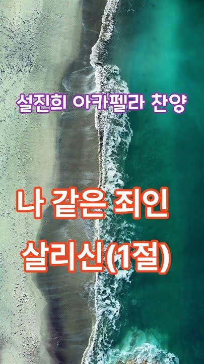 나 같은 죄인 살리신 ｜설진희 아카펠라 찬양 ｜ 찬송가305장 나같은죄인살리신 Amazinggrace 설진희 쇼츠찬양 1