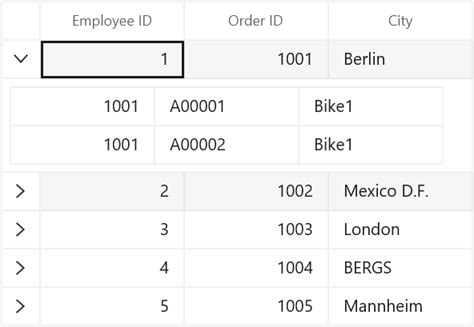 Master Details View In WinUI DataGrid Control Syncfusion