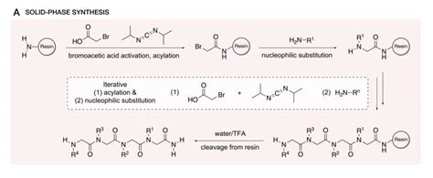 Optimize Peptoid Synthesis Peptoids Synthesis Qyaobio