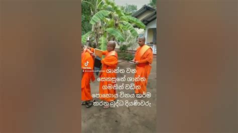 සාන්ත වන සෙනසුනේ ශාන්ත ගමනින් වඩිමින් පොහොය විනය කර්ම සිදු කරන බුද්ධ