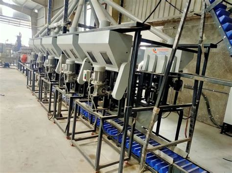 Cashew Nut Shelling Machine At ₹ 1450000 Piece Kaju Shelling Machines