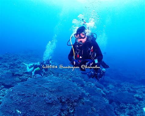 沖永良部島 ～ギンガメトルネード～ シードリーム沖永良部｜ダイビングショップ
