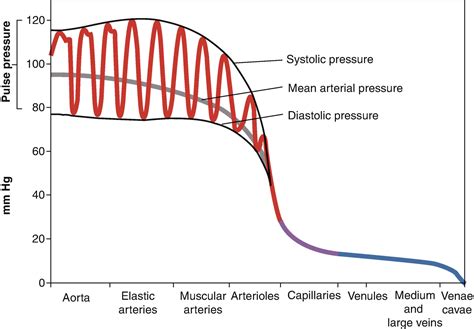 Collection And Analysis In The Icu Neupsy Key