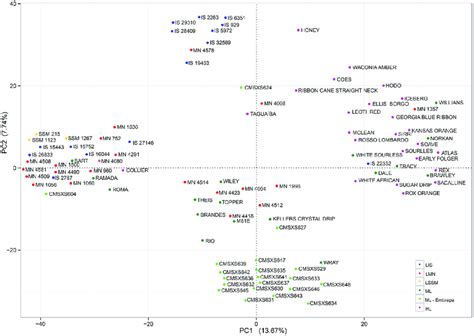 Principal Component Analysis Using Snp Data Plotting The First Two Download Scientific Diagram