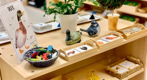 How To Rotate Your Classroom Materials