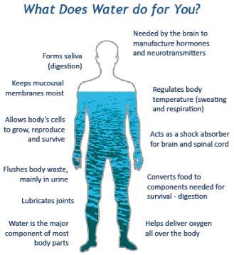Fluids Electrolytes Acid Base Flashcards Quizlet
