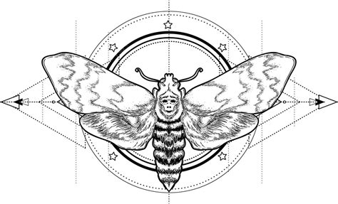 Mystical Moth On Sacred Geometry Alchemyspirituality Astrology Night Witchcraft Vector Night