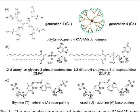 Figure 1 From The Royal Society Of C Of Dendrimer Nucleolipids Surface Fi Lms For Directed