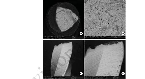 A A Scanning Electron Micrograph Of The Fractured Surface