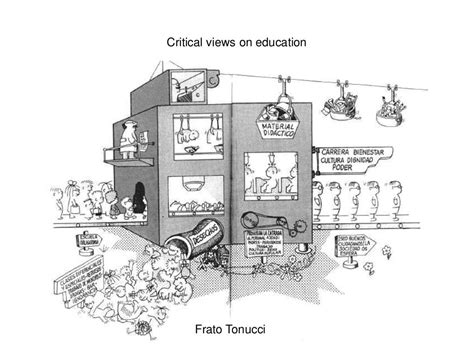 The Functions Of The School