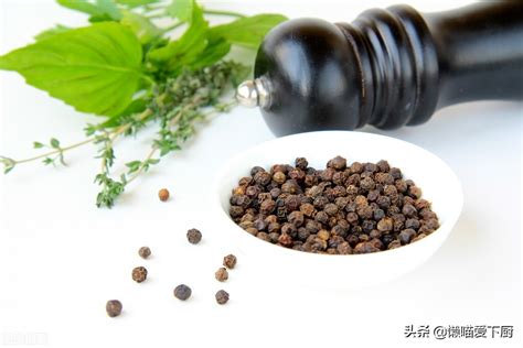 “黑胡椒”和“白胡椒”有啥不同？做汤用哪种好？涨知识了