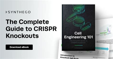 The Essential Guide On Cell Engineering Synthego