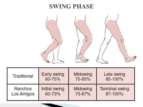 Kinematics And Kinetics Of Gait Pdf