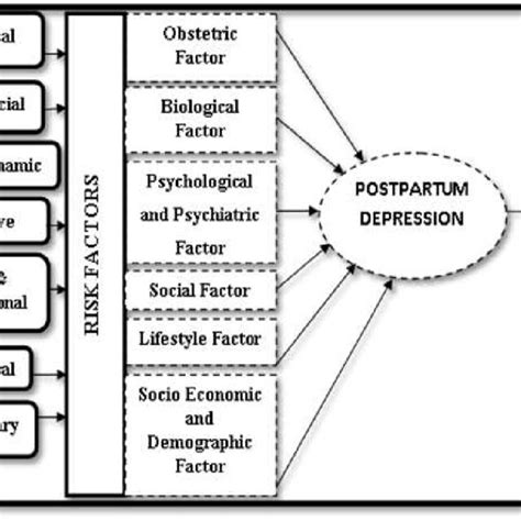Showing The Onset And Duration Of Ppd Download Scientific Diagram