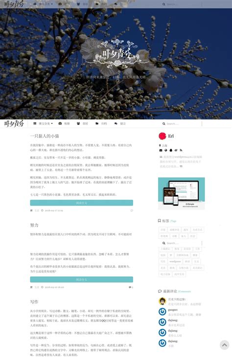 Wordpress极简优秀的博客主题erlsimplev15主题 小马博客