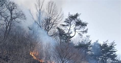 청주 야산서 불 산림 025ha 소실쓰레기 소각 부주의 원인 추정