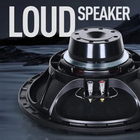 Tact L210 Dual 10 Inch Large Scale Performance Professional Line Array Speaker Line Array And