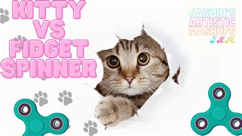 Kitty Vs Fidget Spinner Youtube