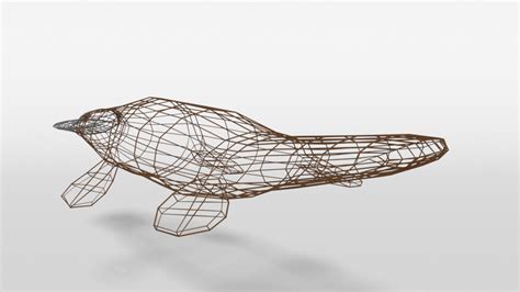 Platypus Blender Ready 3d Model Turbosquid 1503523