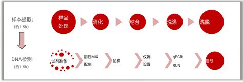如何解决生物制品中的核酸残留的痛点问题