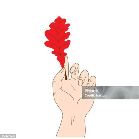 빨간 참나무 잎을 들고있는 손 가을 낙엽 흰색 배경에서 격리되었습니다 장식 가을을 위해 10월에 대한 스톡 벡터 아트 및 기타