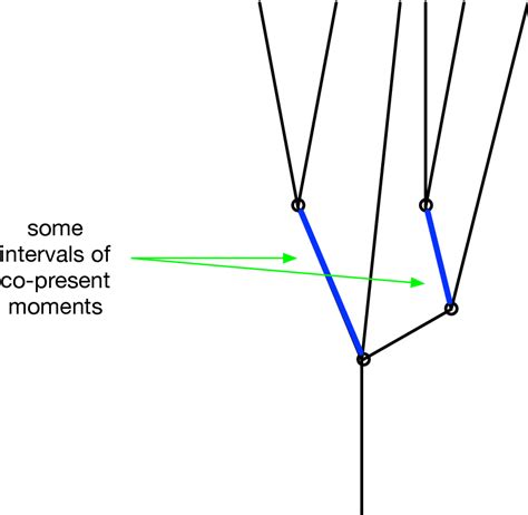 a branching time structure indicating some intervals of co present