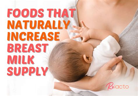 Foods That Naturally Increase Breast Milk Supply Relacto