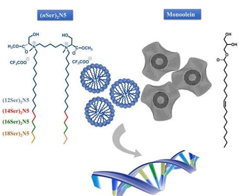 Cationic Serine Based Gemini Surfactant Monoolein Aggregates As Viable