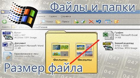 Файлы и папки. Размер файла. Информатика 6 класс. - YouTube