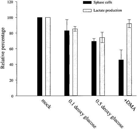 Stimulation Of S Phase By Transformation Dependent Alkalinization Is