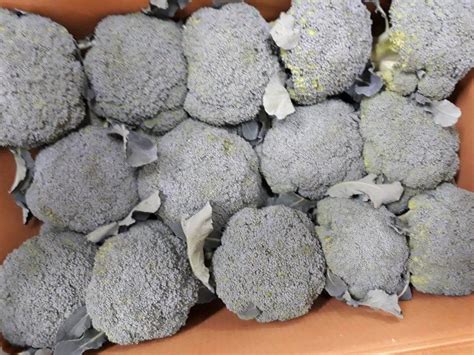 맘마유이유식 오늘 들어온 야채와 이파리채소들 입니다 모두 유기농 또는 무농약 인증제품으로 주3회