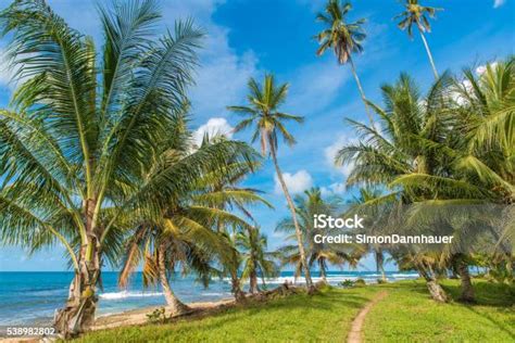 신데 Cocles아름다운 열대 해변코스타리카 해변에 대한 스톡 사진 및 기타 이미지 해변 0명 경관 Istock