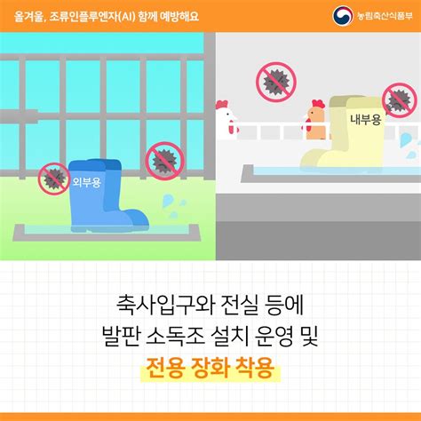 대한민국 농림축산식품부 조류인플루엔자ai 예방을 위해 🥾축사입구와 전실 등에는 발판 소독조를